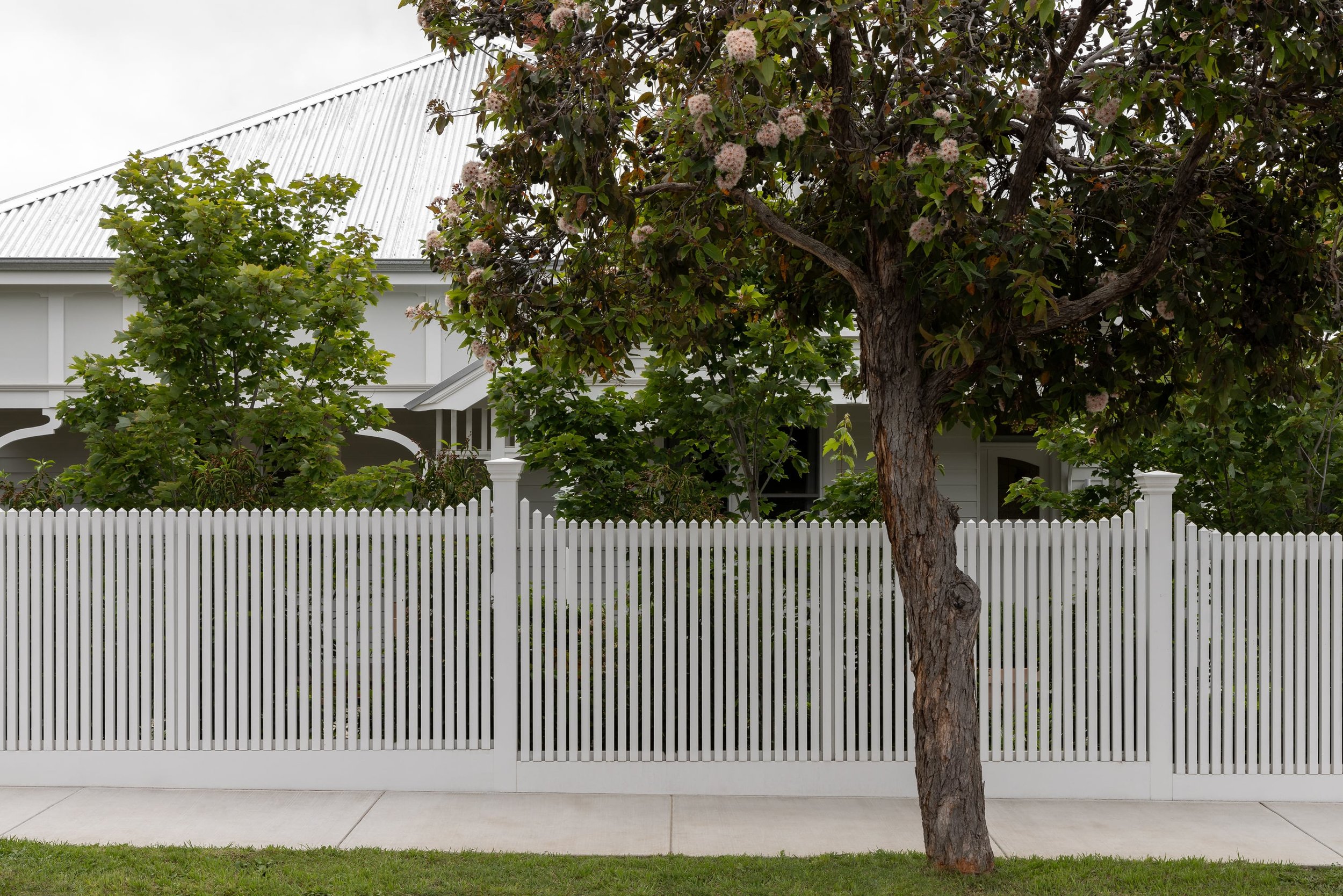 Prospect House — TECTURE