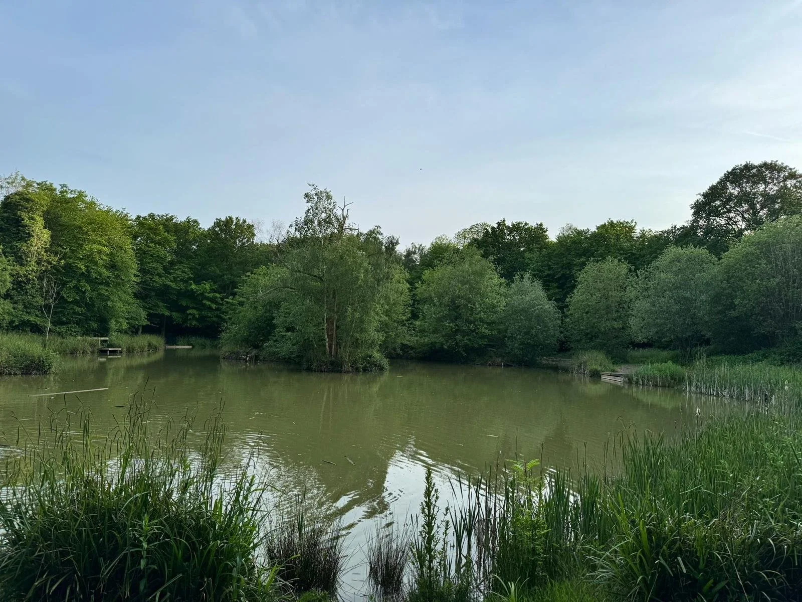 Unforgettable Memories: Read Meta School Annual Residential 2024 — Read ...