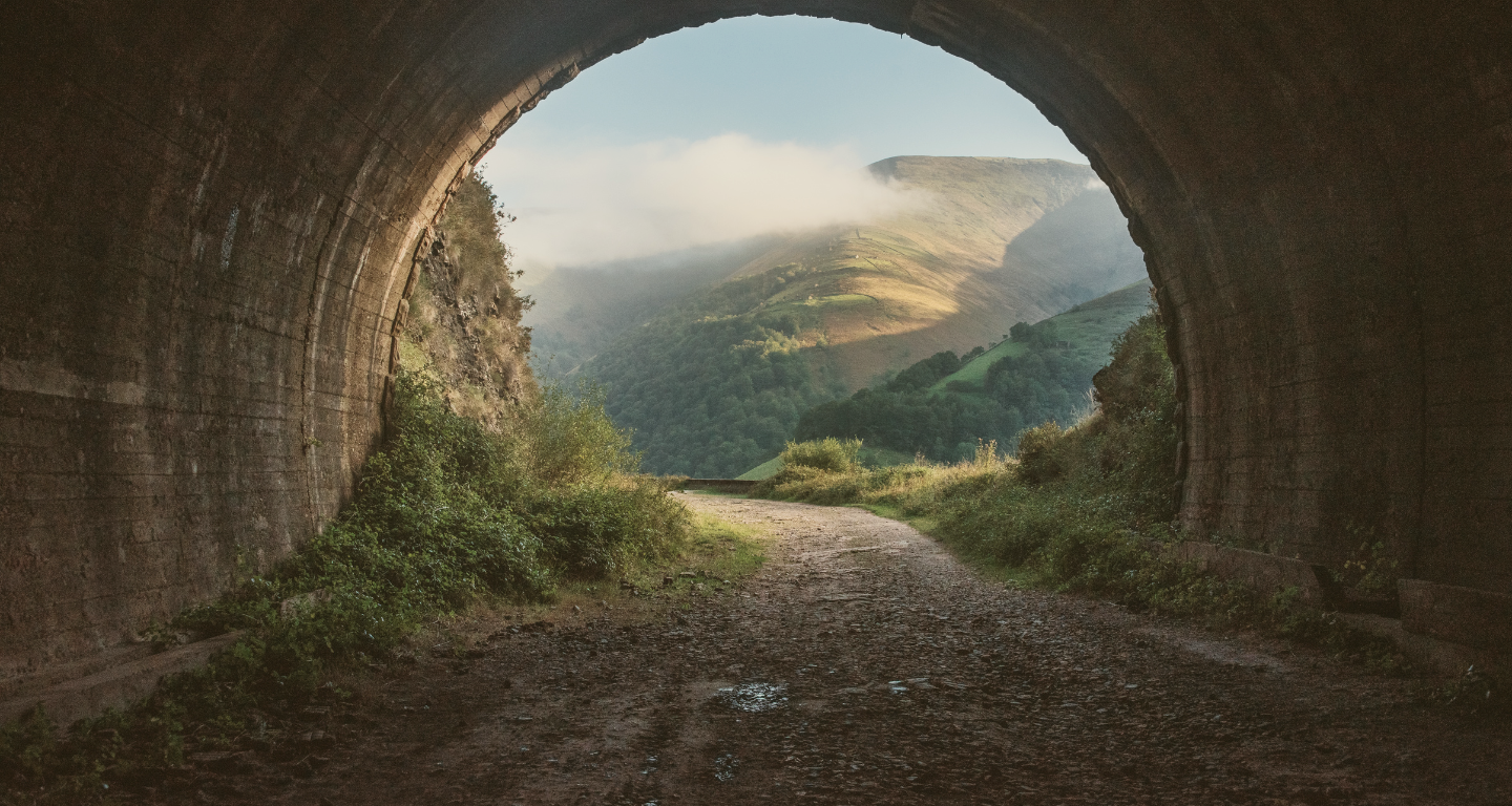 The Light at the End of the Tunnel: Student Loans Are (Almost) Gone ...