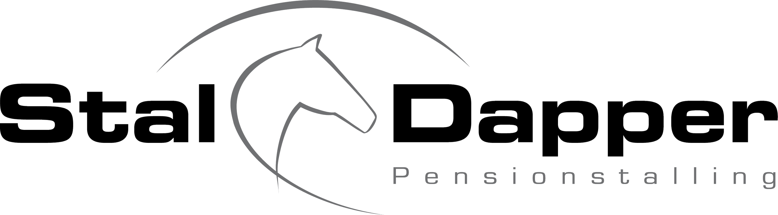 Stal Dapper | Pensionstalling voor Paarden in Schoorl | Vrijheid & Welzijn