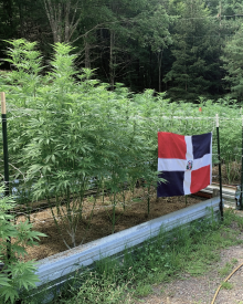 Cornucopia Growers