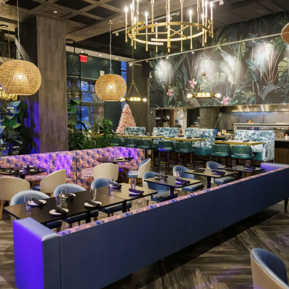 Pink Tiger DC Wharf - Asian Fare American Flair