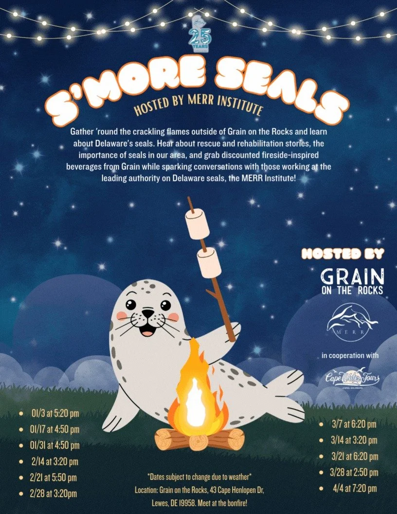 MERR Institute 🦭 S'more Seals | Grain On The Rocks