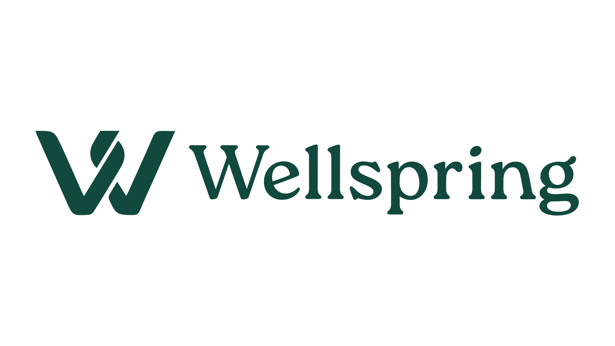 Meet Our Team — Wellspring