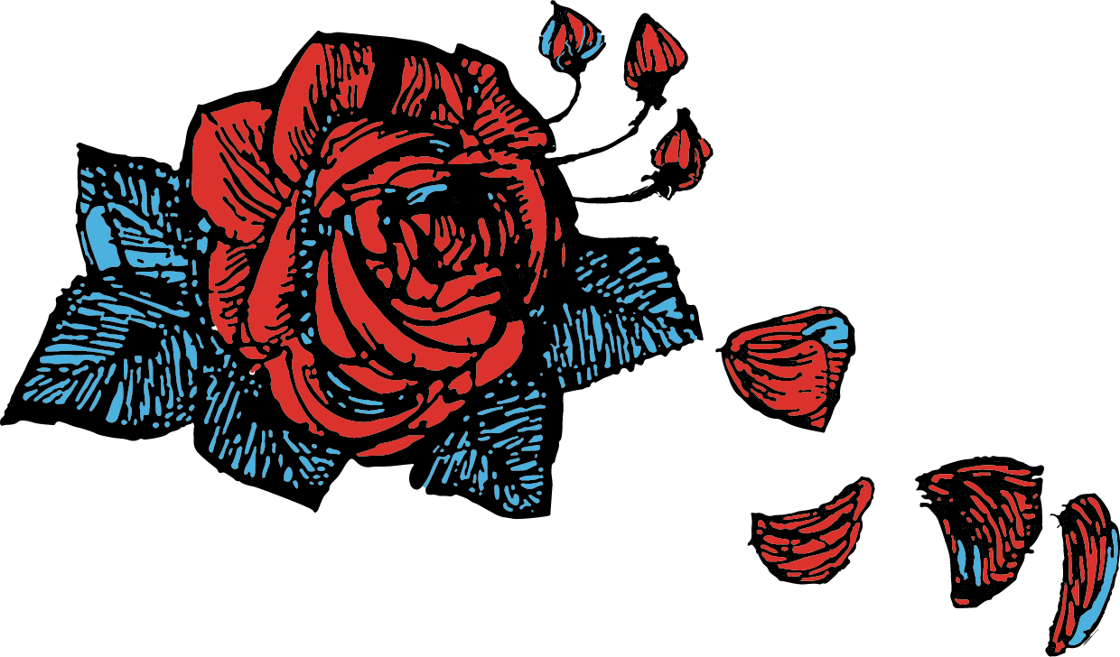Grateful Dead Rose