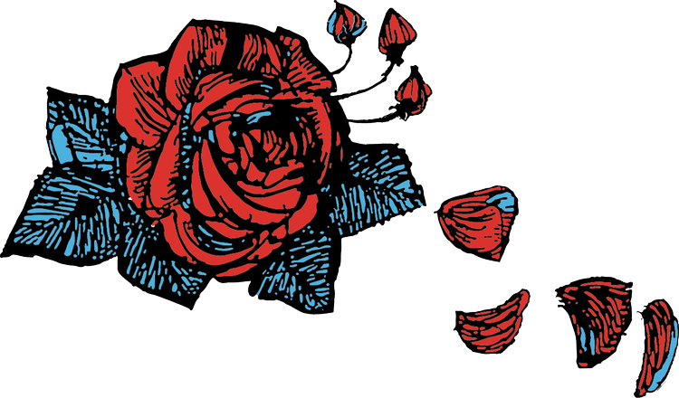 Grateful Dead Rose