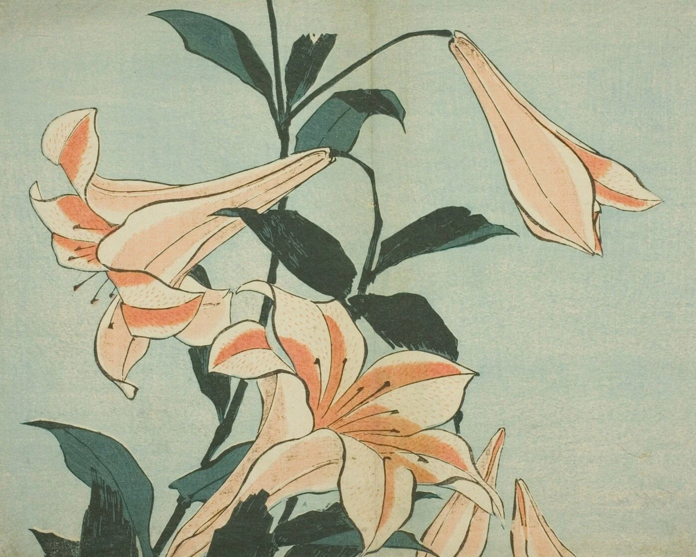 FUNERALS — Jordan Kadell Celebrant