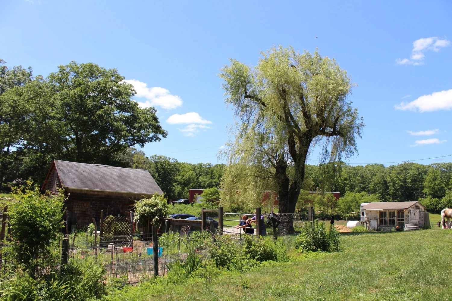 Our Natural Resources — Rhode Island State Conservation Committee
