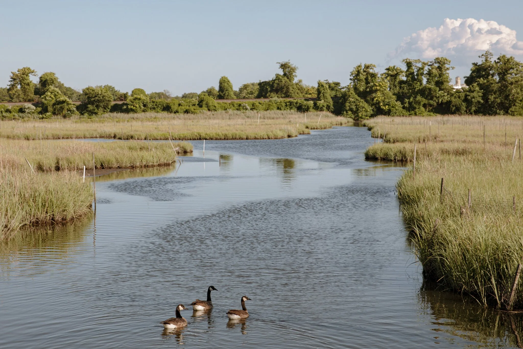 Our Natural Resources — Rhode Island State Conservation Committee