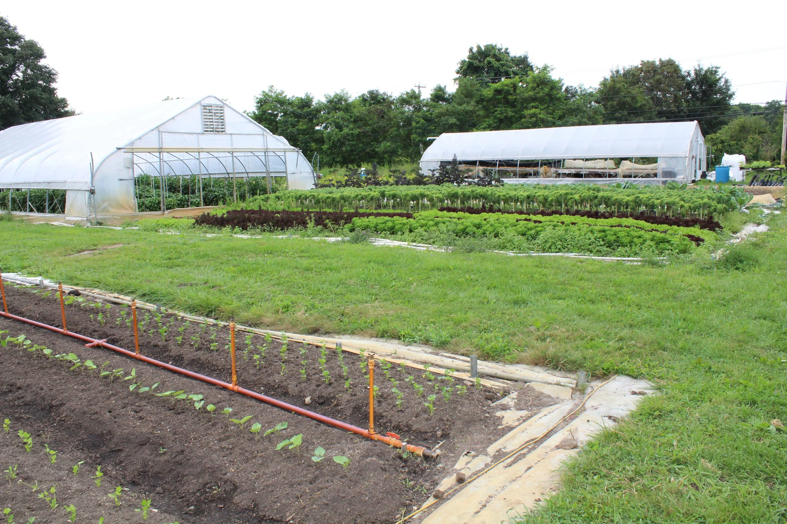 Rhode Island State Conservation Committee