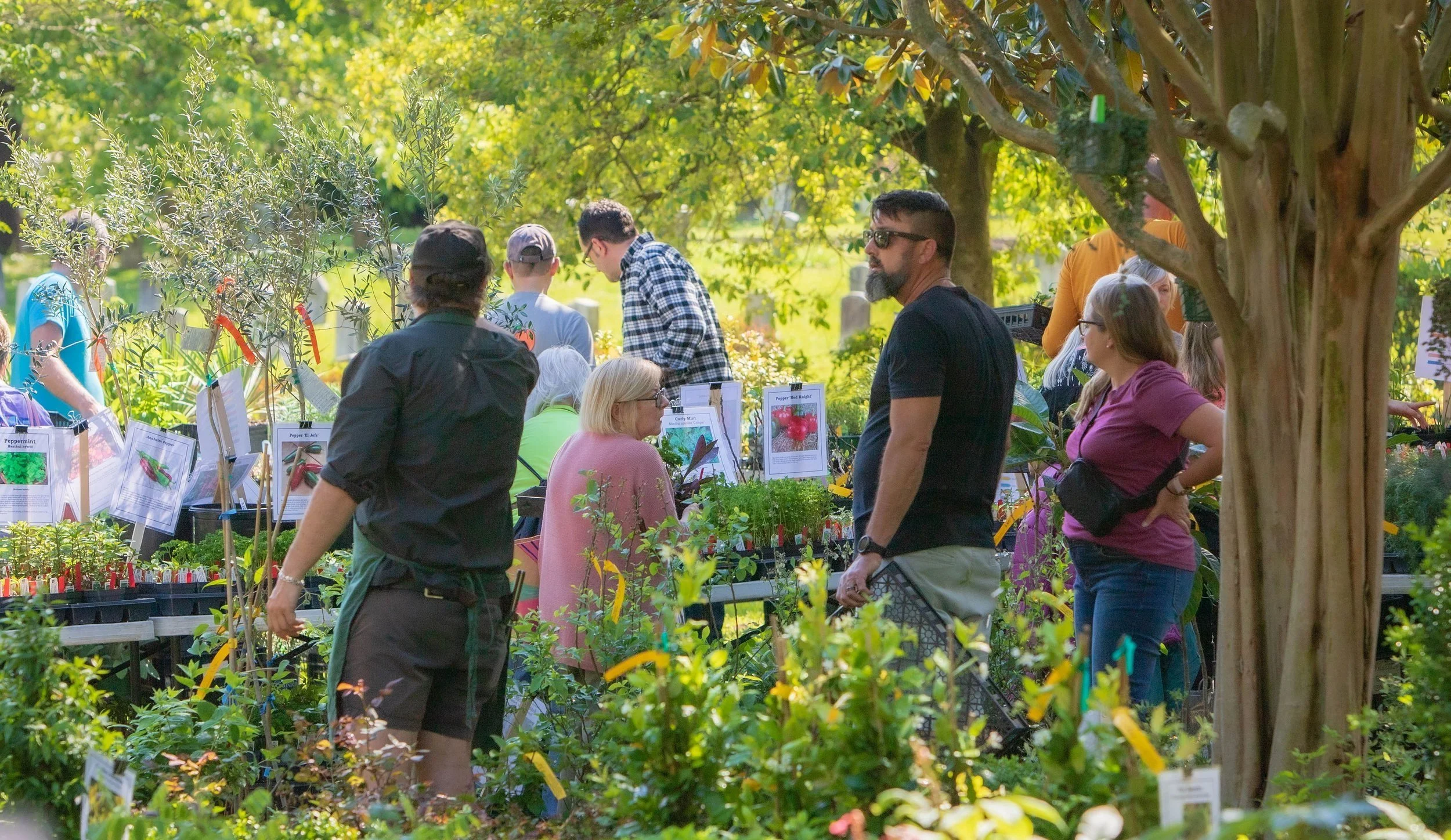 Fall Plant Sale — Historic Oakland Foundation