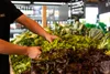 Our range - Connings Food Market
