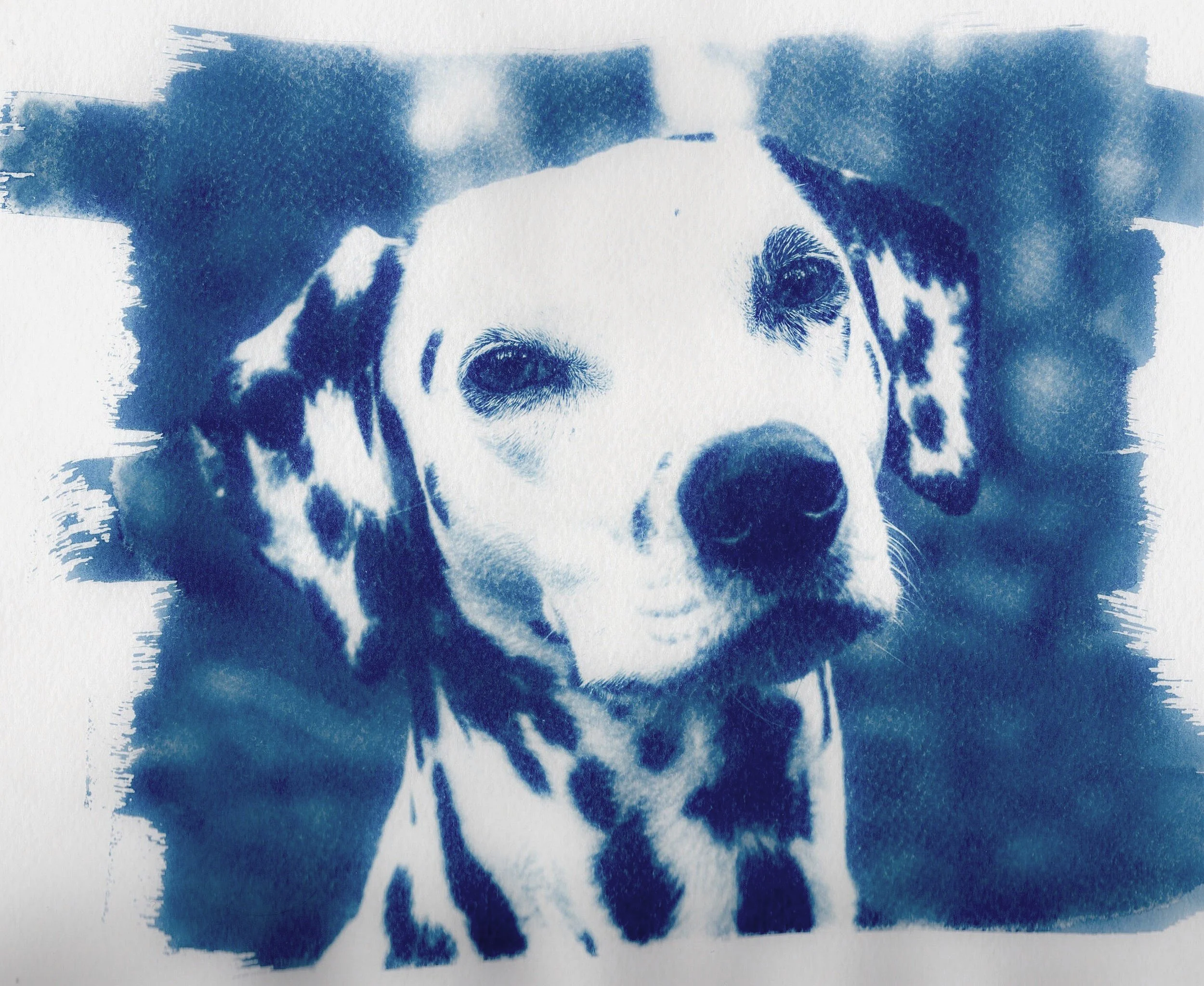 Salty Dog Pix | Unique Cyanotype Photography by Nick Gardner in London