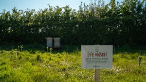 Booking | Book Your Adventure — Cherry Tree Farm
