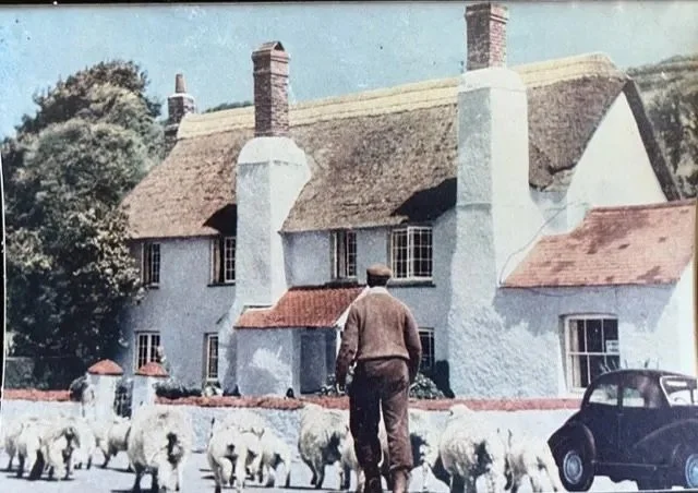 About | Discover Our Legacy — Cherry Tree Farm