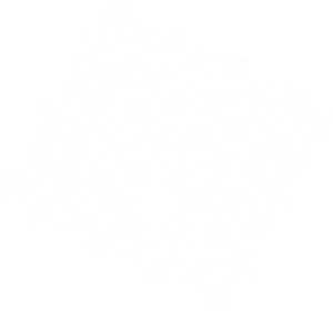 Who we are — The Phoenix Way