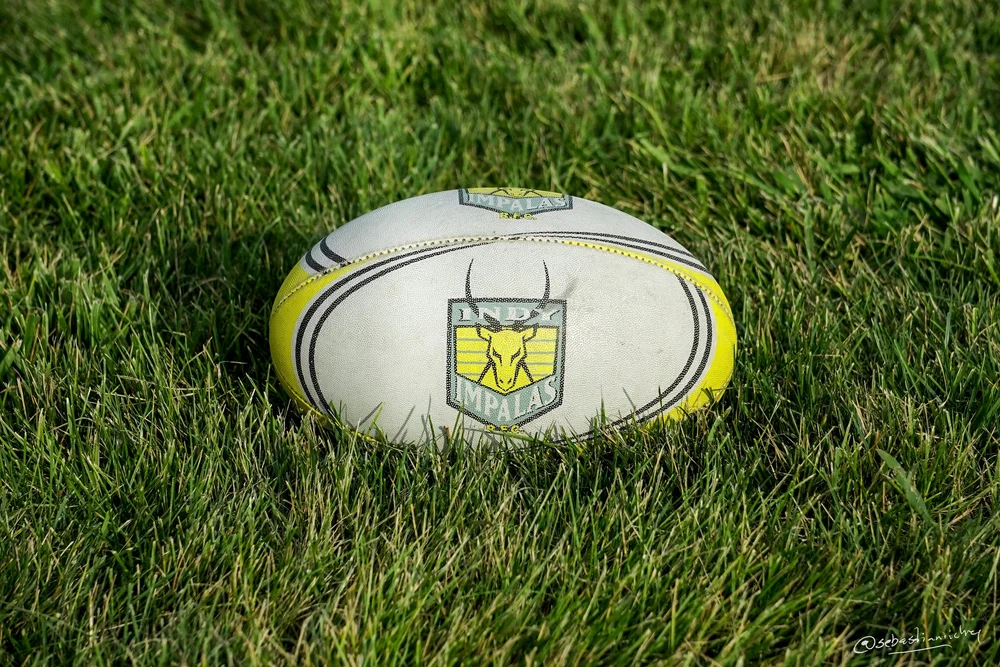 Indianapolis Impalas Rugby Football Club