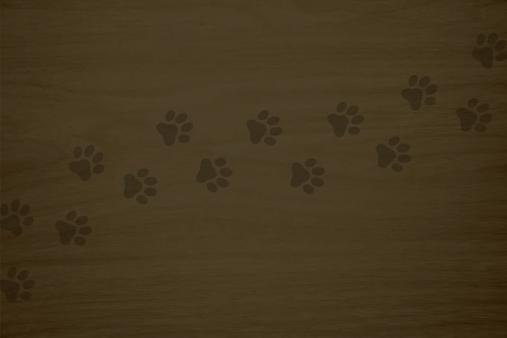 Hermes Heartland Labs