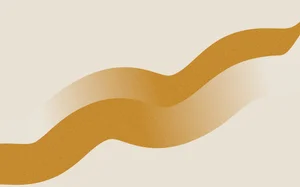 About — Moonbow | A queer and trans Asian organization