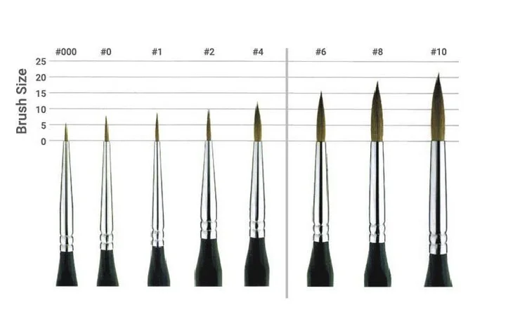 Brushes & Buffs — TD DENTAL SUPPLY