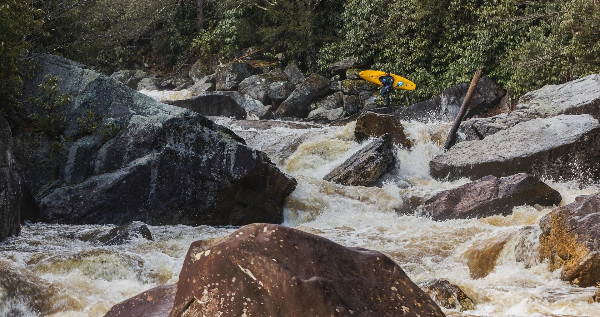 Freeland - A Blackwater Story — Paddling Film Festival