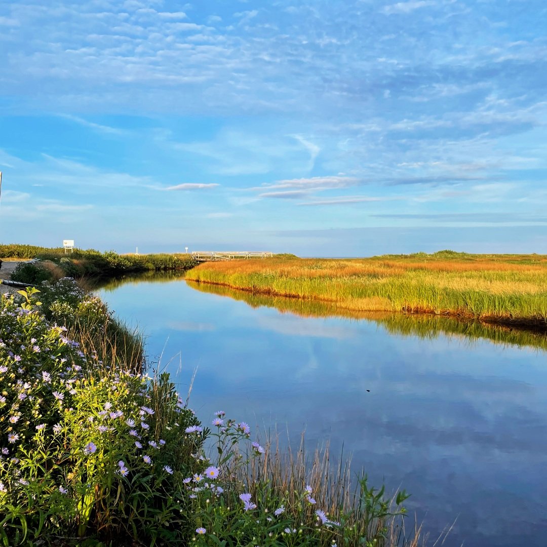 Wellness Retreat — Lumsden Beach Co