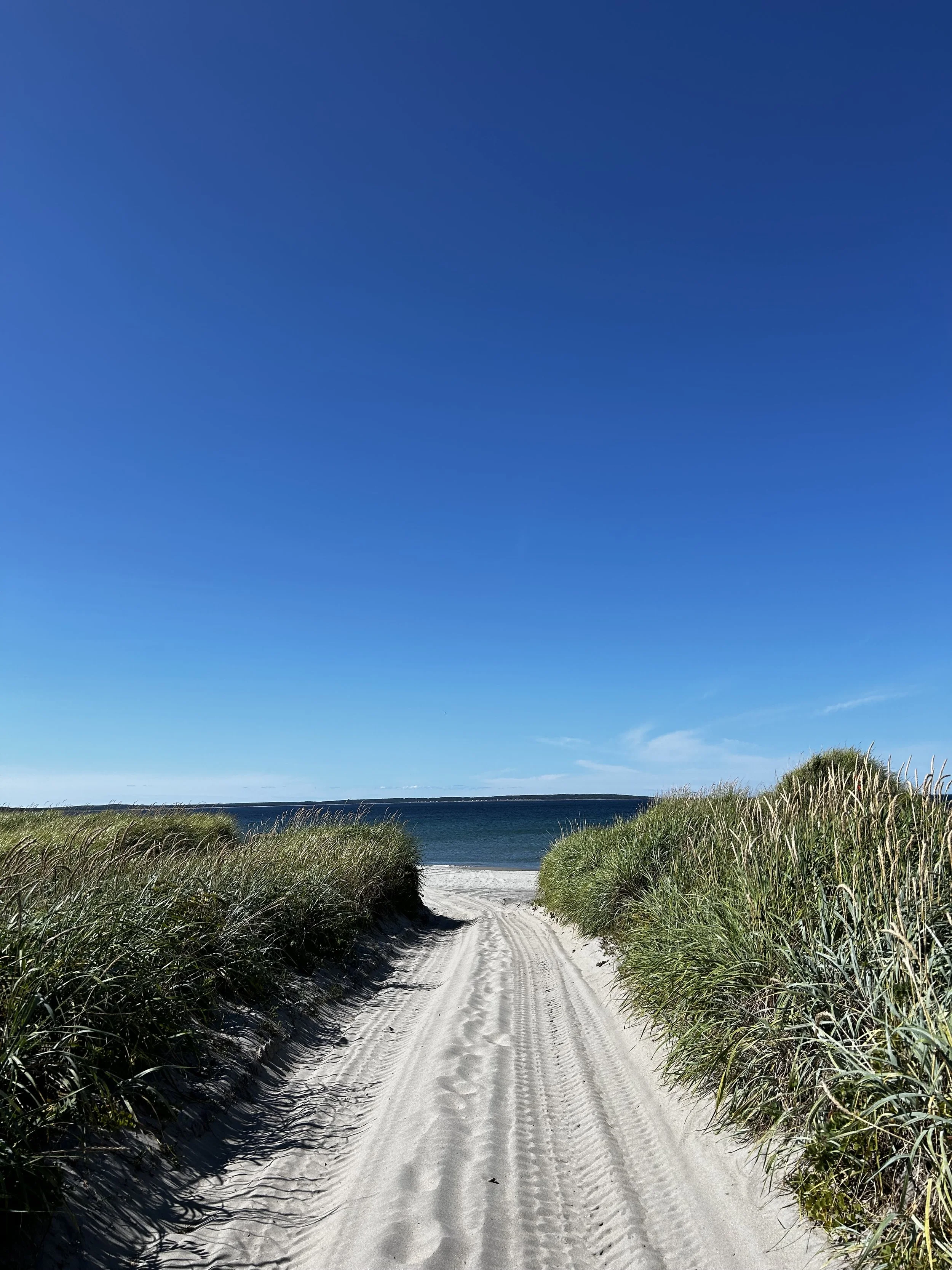 Things to Do — Lumsden Beach Co