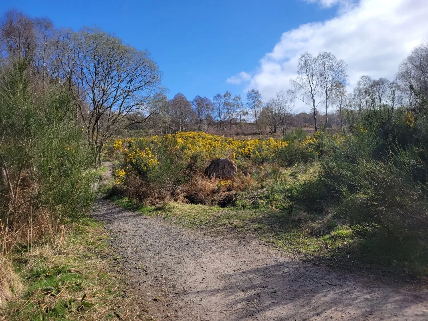 Hiking the West Highland Way — Marisa Celeste Montany