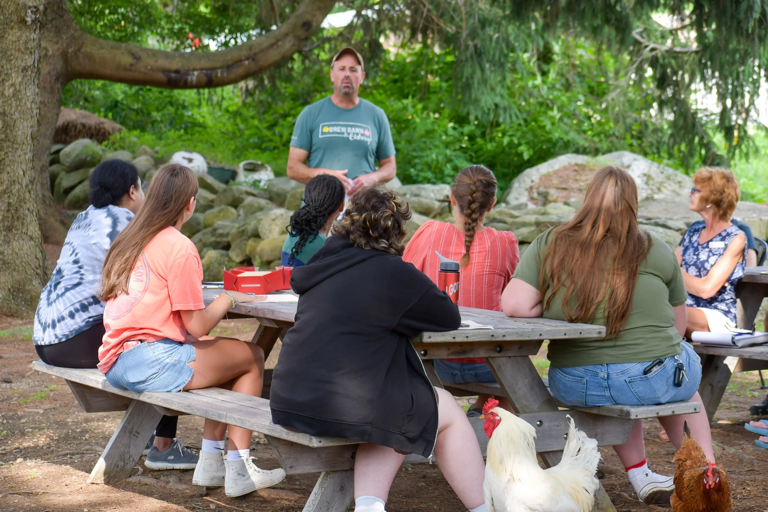 The Farm — Red Apple Farm