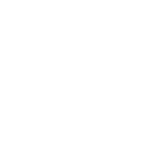 Winter Lights — Red Apple Farm