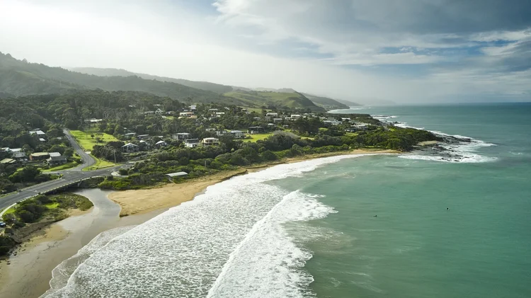 Stay & Play in Apollo Bay — Wildlife Wonders