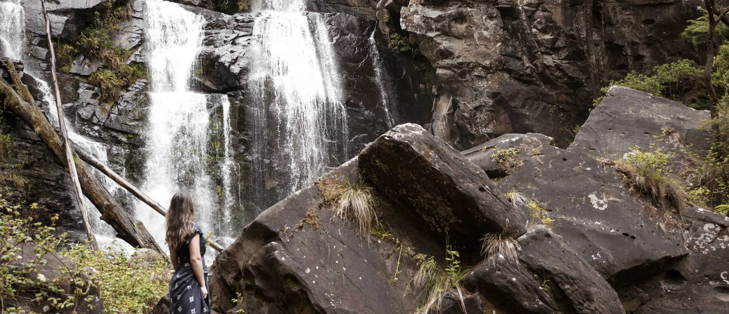 Great hikes near Apollo Bay on the Great Ocean Road — Wildlife Wonders