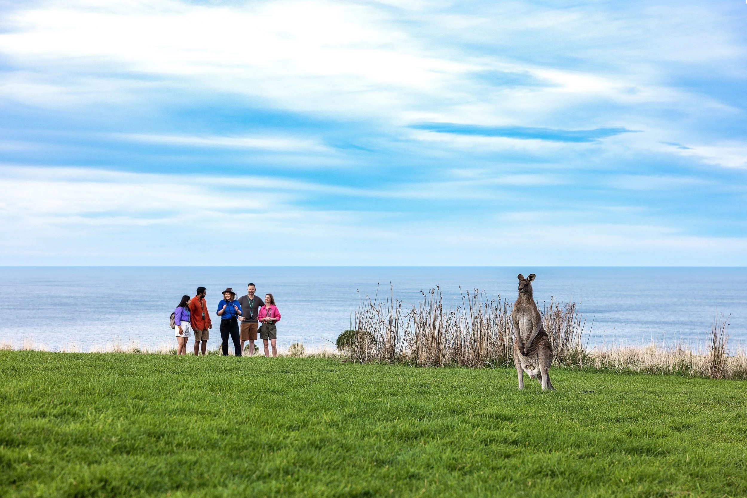 Wildlife Wonders | Discover Australian Wildlife