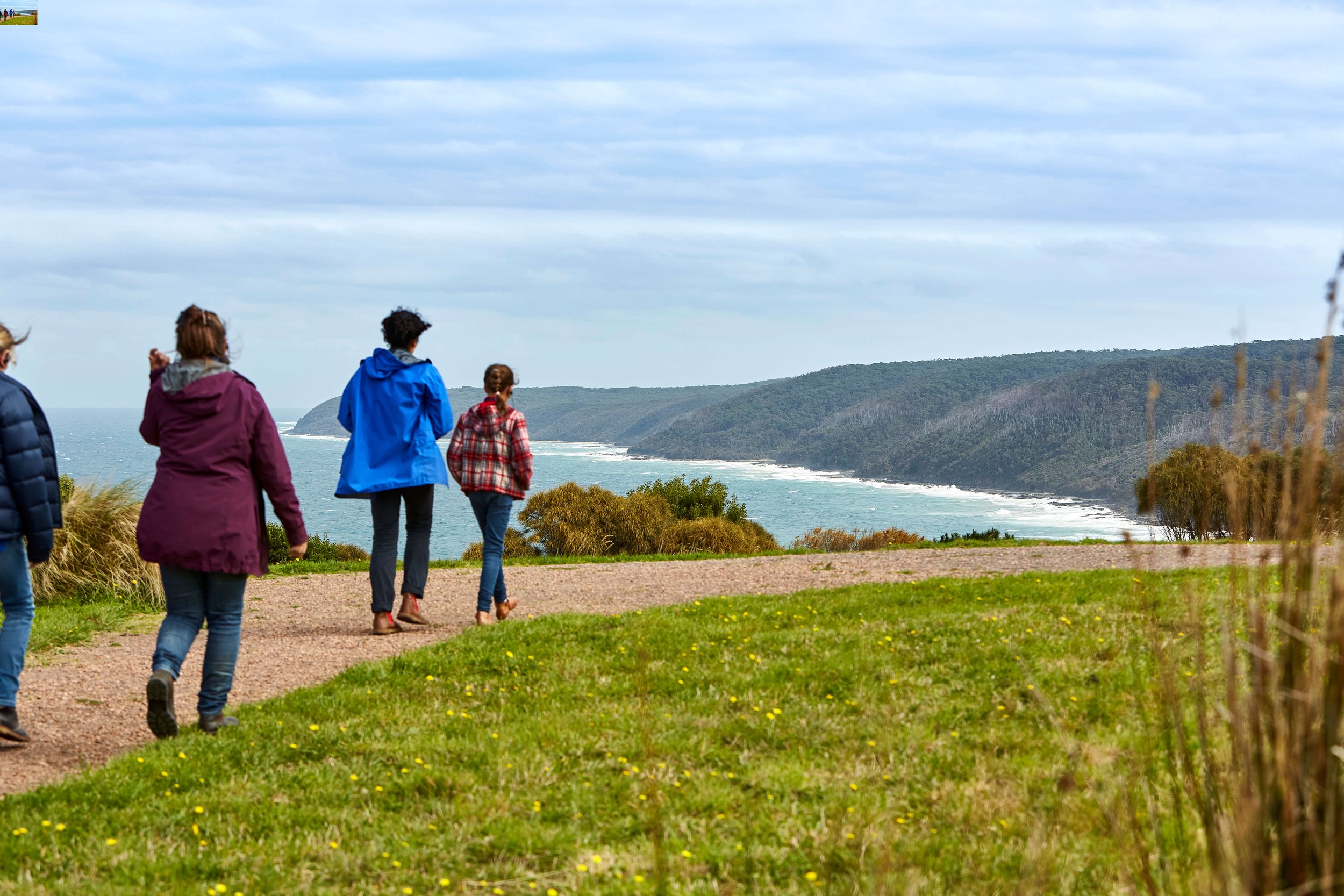 Walk with Wildlife Tour — Wildlife Wonders
