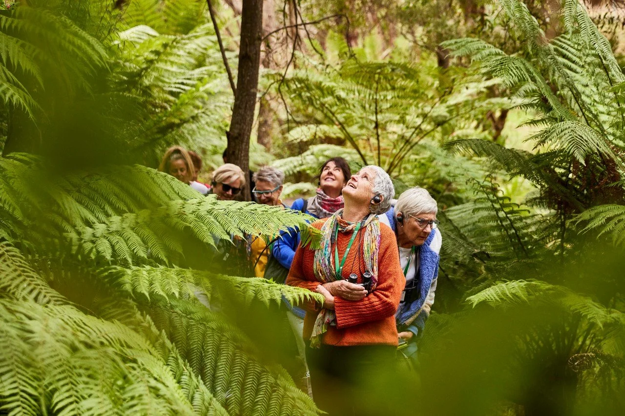 Wildlife Wonders | Discover Australian Wildlife