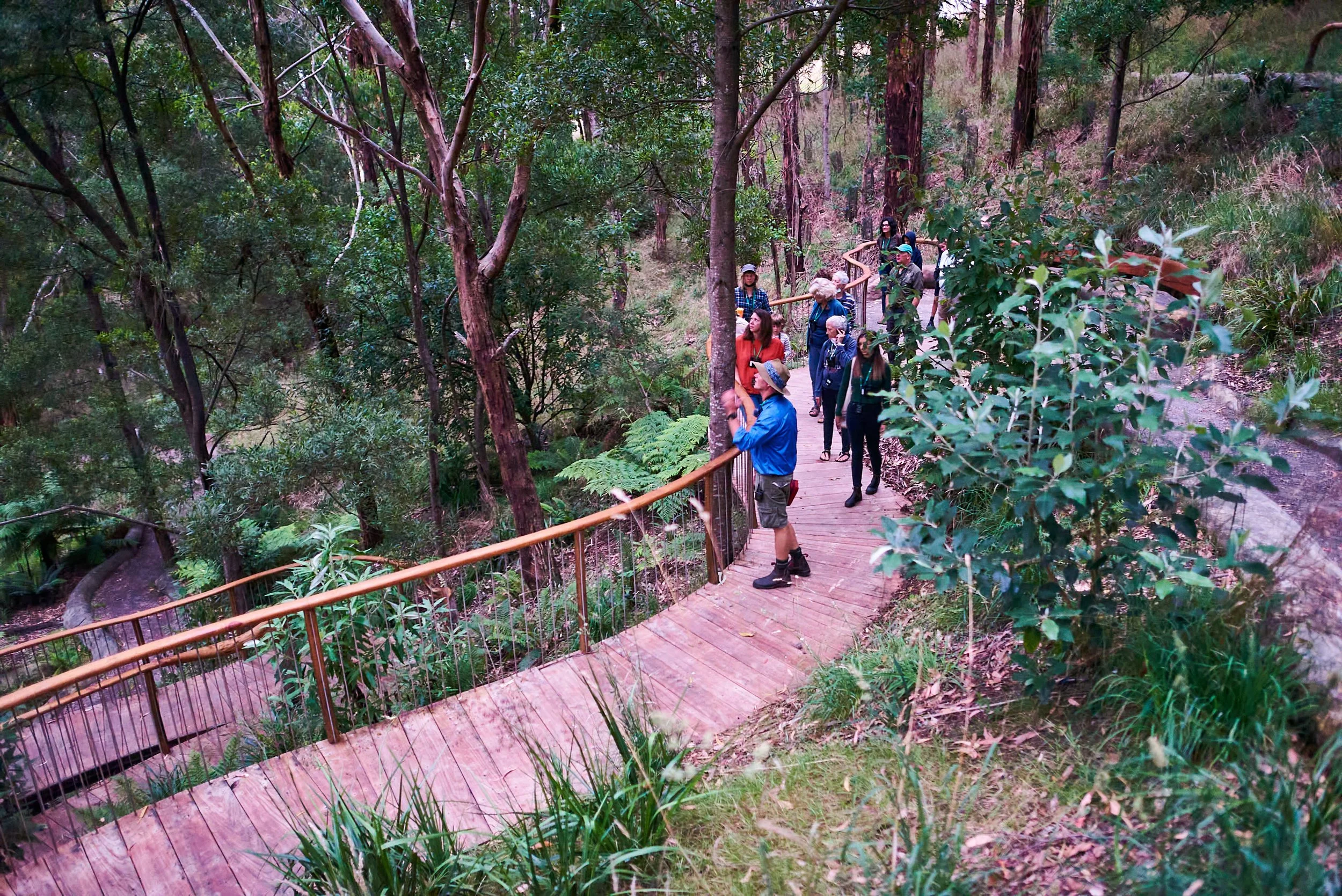 5 things that make Wildlife Wonders different from a wildlife park ...