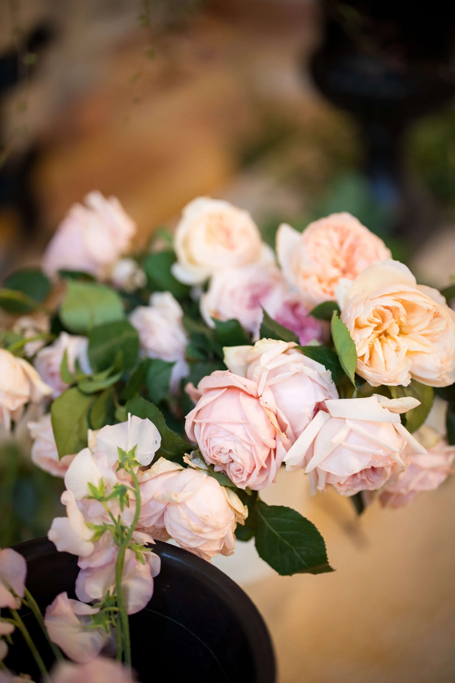 2026 Show — Art in Bloom DC