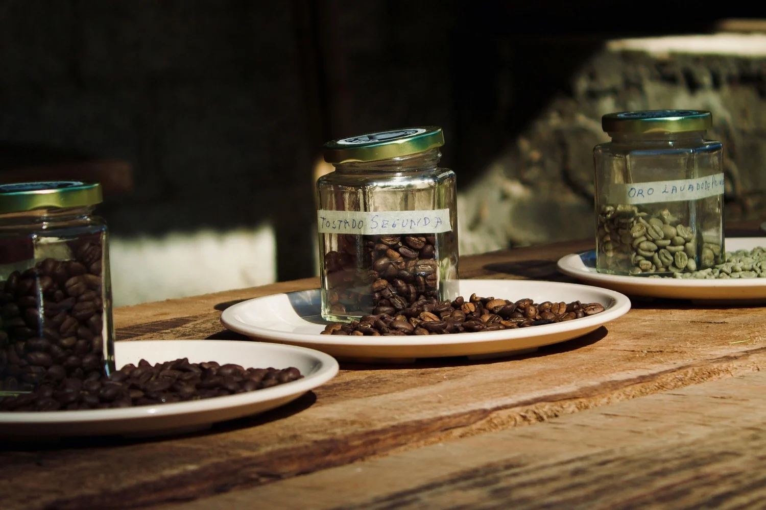 Los top 10 cafés de Oaxaca — Oscuro Brebaje