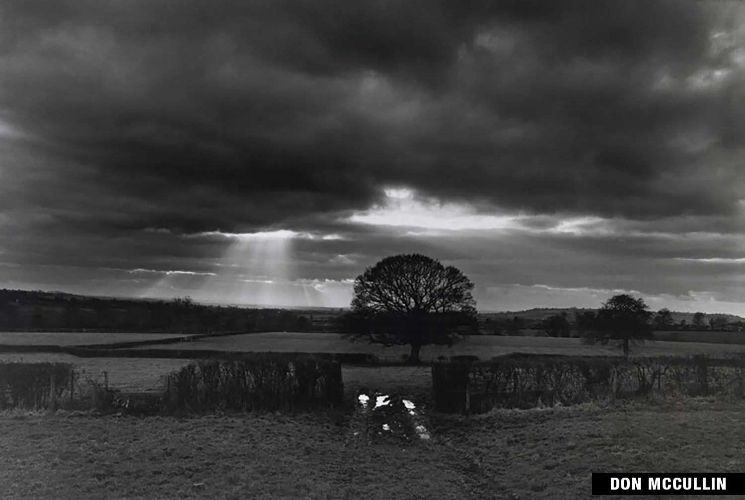 Famous Landscape Photographers: Top 10 Inspiring Artists