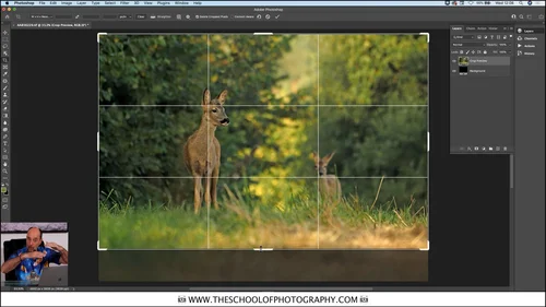 Wildlife Photography Course Online | Learn Wildlife Photography