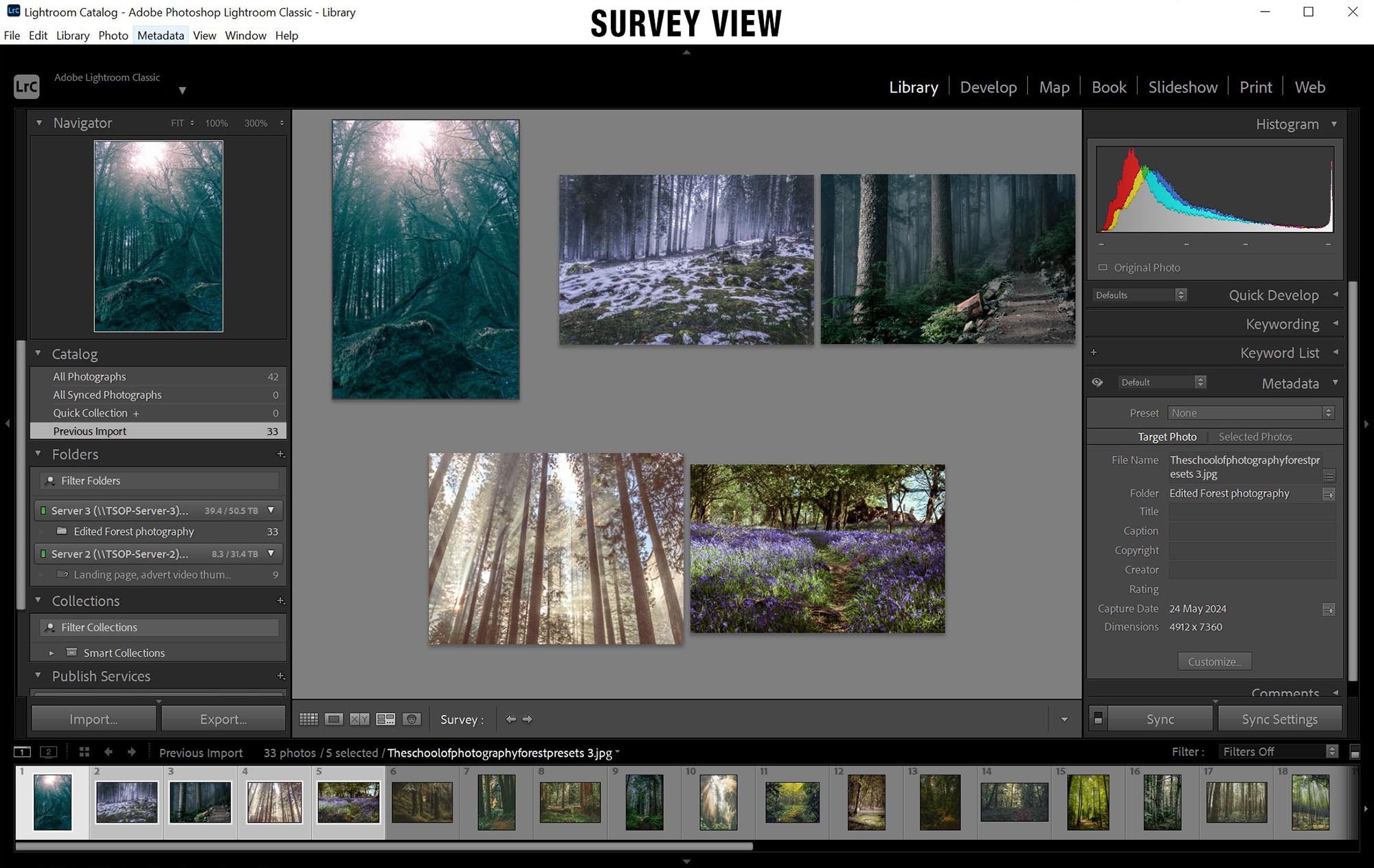 Lightroom Shortcuts You Can’t Live Without – Free Guide | The School of ...