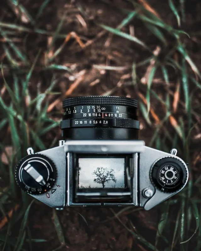 Light Leak Photography Tutorial + 30 Free Lightroom Presets