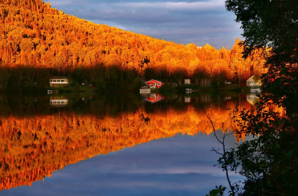 10 Best Autumn Photography Ideas | Fall Photo Tips & Inspiration
