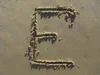 Alphabet Photography Tutorial | Creative Photo Letter Ideas