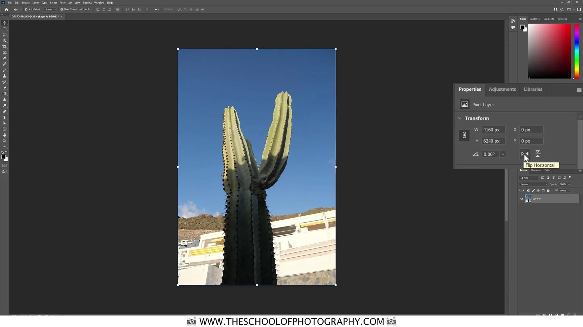 Alphabet photography – How to create your own — The School of ...