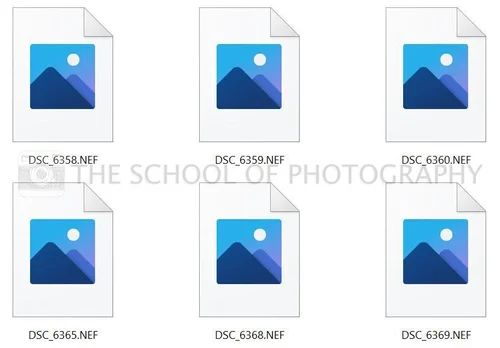 DNG vs RAW: Key Differences & Should You Convert | The School of ...