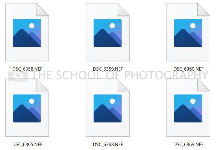 DNG vs RAW: Key Differences & Should You Convert | The School of ...