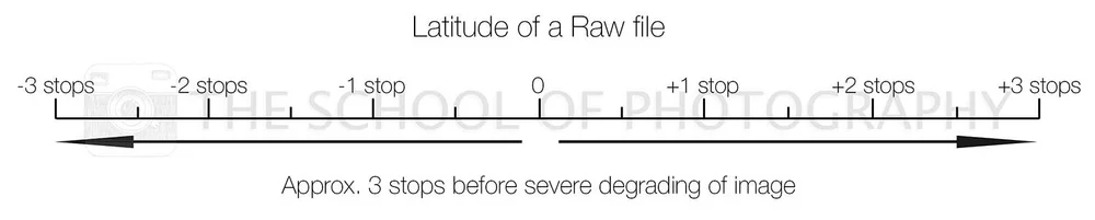 DNG vs RAW: Key Differences & Should You Convert | The School of ...