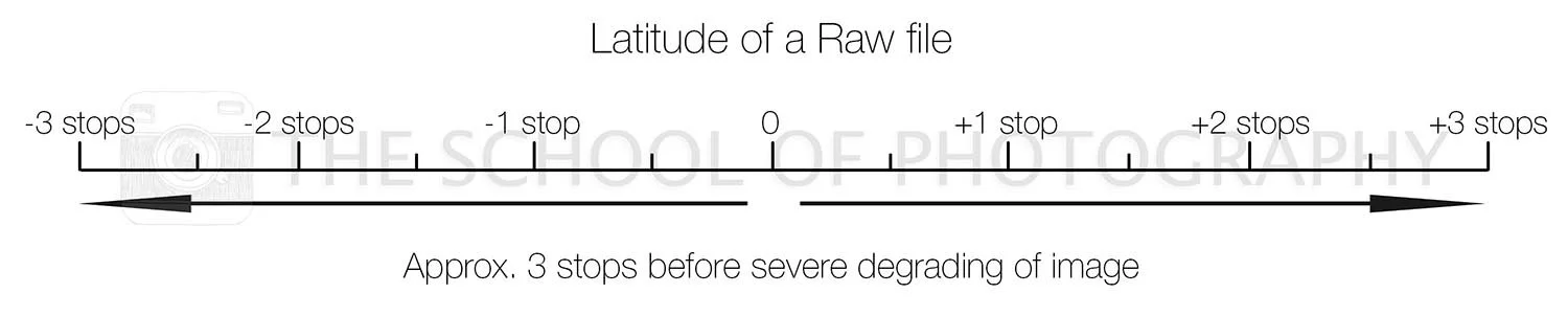 DNG vs RAW: Key Differences & Should You Convert | The School of ...