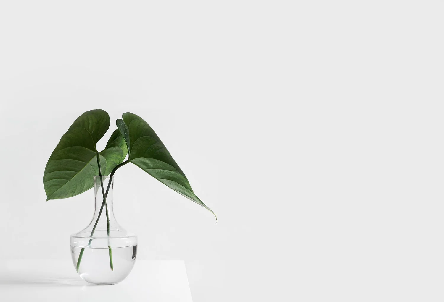 Minimalist Photography Tutorial – Tips & Ideas | School of Photography